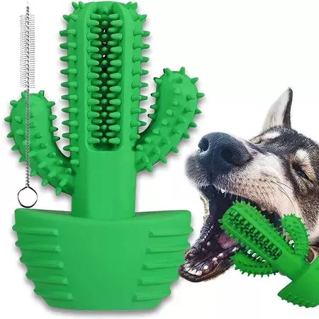 Fashion Dog Toys