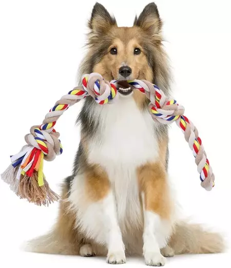 Fashion Dog Toys