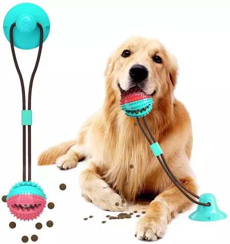 Fashion Dog Toys