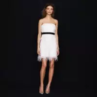 Jcrew Short Wedding Dress