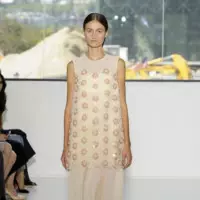 Delpozo жазы 2015 ж