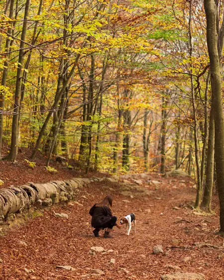 Montseny ee Catalonia