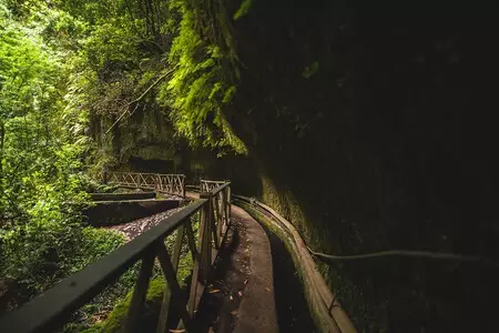 bon 250 ero la palma