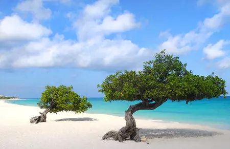 Pantai Eagle Aruba