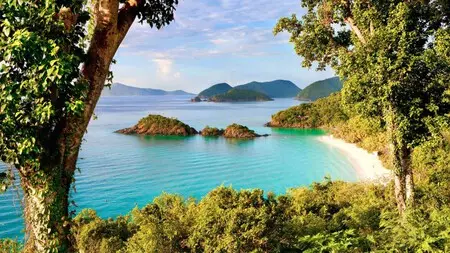 Trunk Bay Beach Estatu Batuak