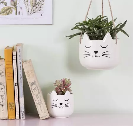 Mini Katvormige Planter