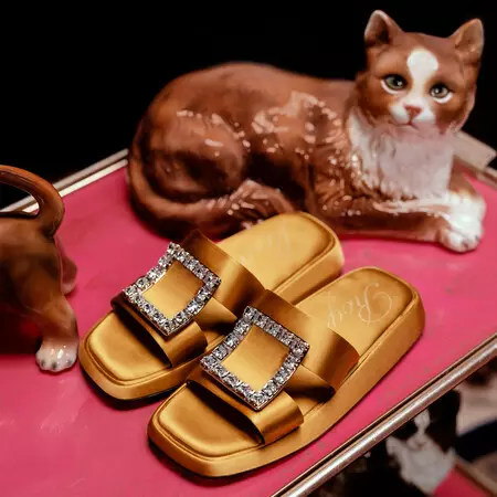 Vivier Slide Strass Buckle Mule