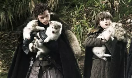 Sommarju Direwolves Staġuni Kollha Ta Game Of Thrones