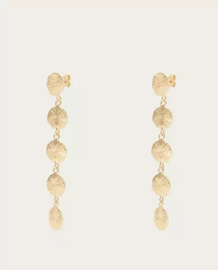 Long Earrings With Plate Detail