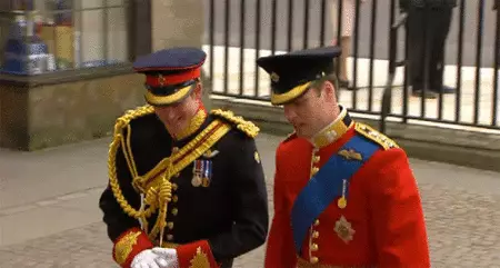 Prince william ndi harry