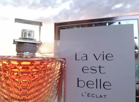 we have tried we tried review la vie est belle l