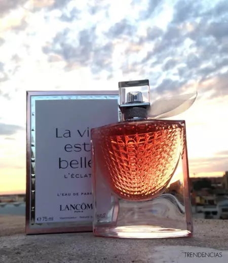 we have tried we tried review la vie est belle l