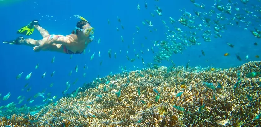 Lindungi kulit anda dan jaga ekosistem akuatik dengan pelindung matahari Photoderm