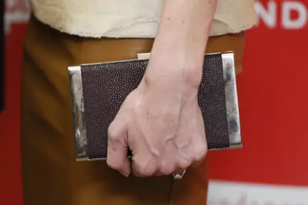 Kate Bosworth clutch